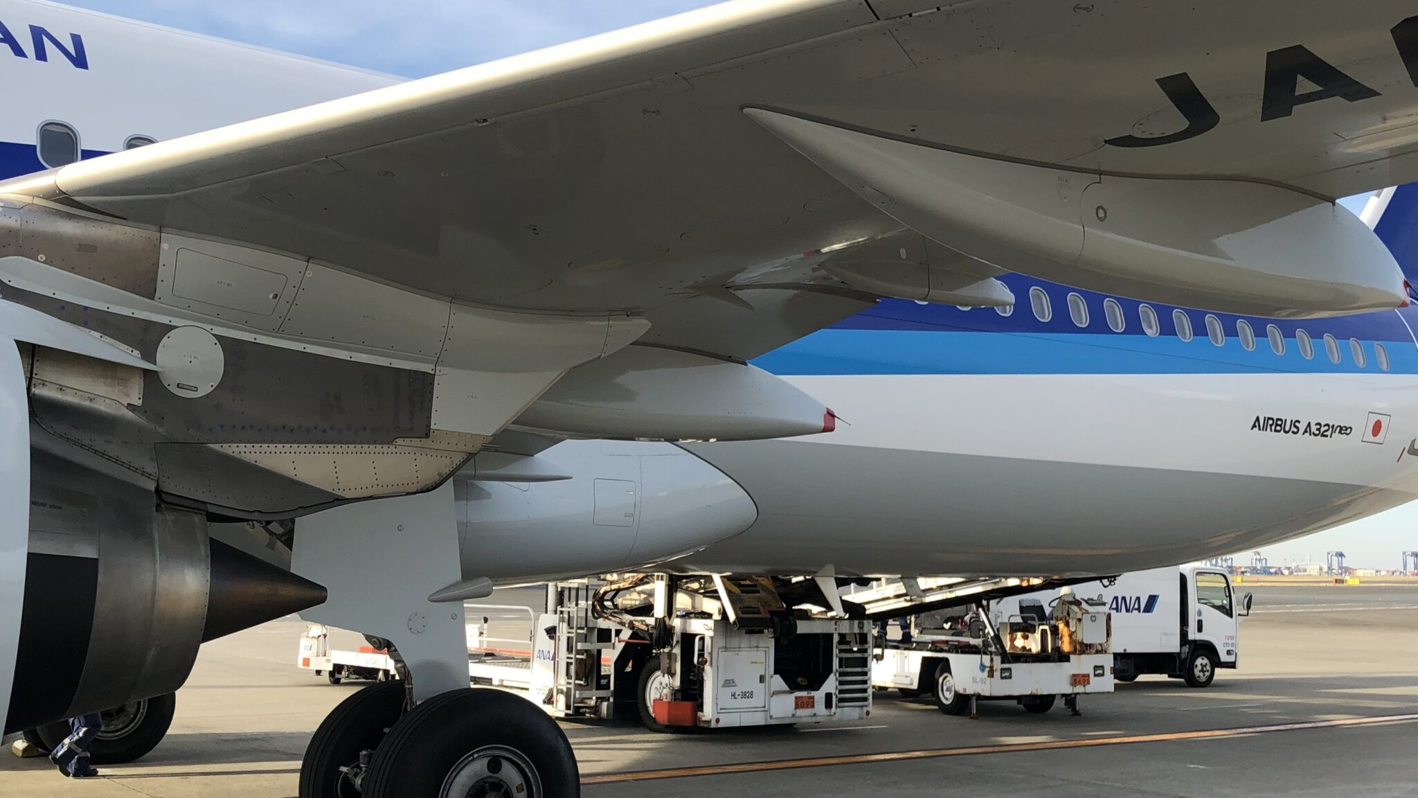 2026年度 ANA & JAL 新卒採用ガイド｜CA・パイロット採用情報＆合格対策完全版 | Beyond the Horizon